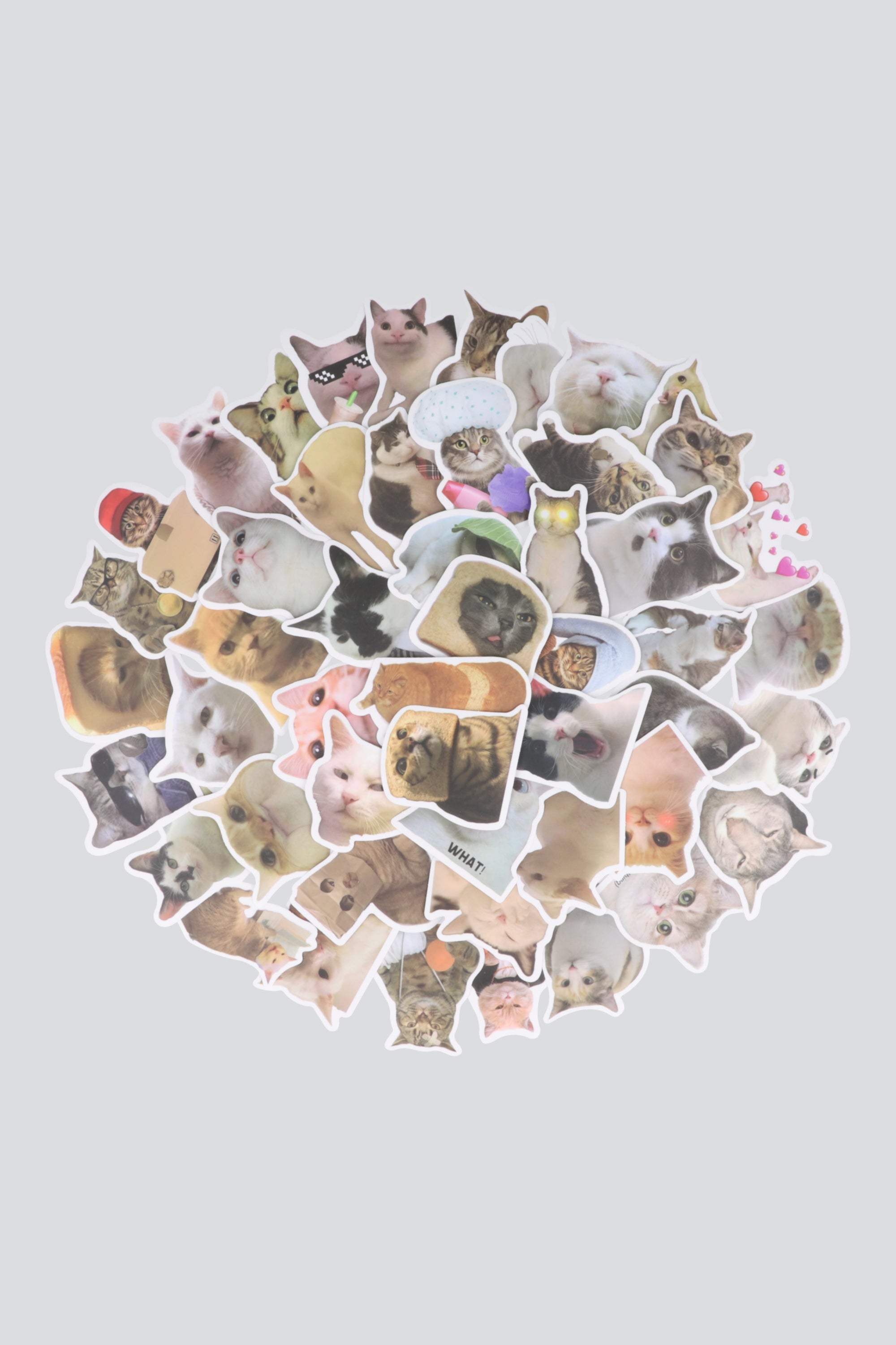 Set 50 stickers gatos divertidos